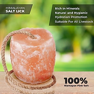 100% Himalayan Salt Lick for Horses 3-4 LBS- Pack of 3 Licking Salt Block for Animals with Minerals, Salt Licks for Cows, Goats, Deer, Cattles & on Rope