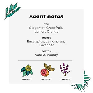 Poo-Pourri Before-You-Go Toilet Spray, Lavender Vanilla, 1.4 Fl Oz - Lavender, Vanilla and Citrus