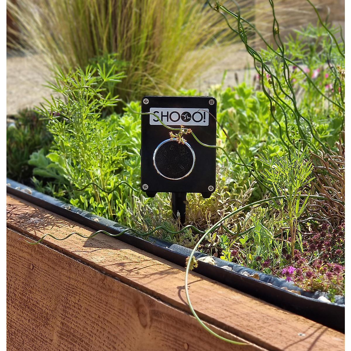 Acoustic Bird Scarer. Pigeons, Seagulls, Starlings and Woodpecker Repellent. Raptor and Bird Distress Audio Call Deterrent. Battery Operated Repeller for Outside