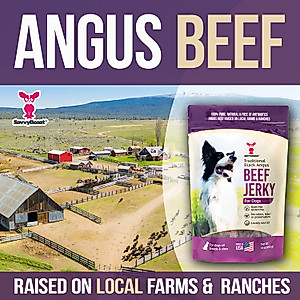 Beef Jerky Dog Treats for Dogs - 16 oz Grass-Fed Natural Real Meat Jerky Made in the USA Only - Thin Healthy Grain Free Chew Sticks - High in Protein Tender Strips - Perfect for Training & Rewarding