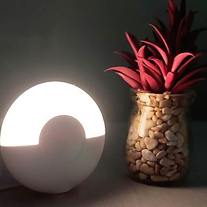 Nightlight,Photosensitive Sensor, White Light, 0.6W, 220V, Suitable for Infants, Children, Children's Rooms, Corridors and Other Scenes (1 Pack)