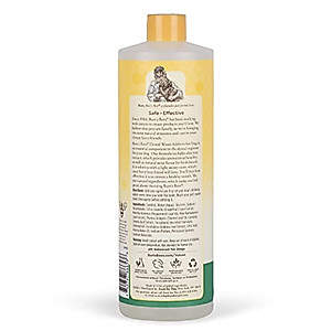 Burt's Bees for Pets Training Dog Dental Water Additive with Aloe Vera Extract, 16 fl Oz | Water Additive for Dogs in Fresh Mint Flavor | 97% Natural Dog Water Additive