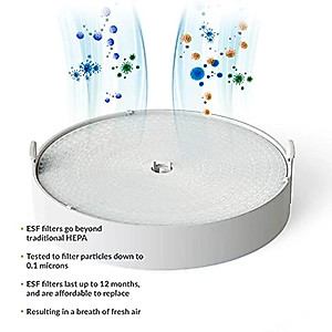 AVARI™ 525 Blue Desktop Personal Air Purifier for Filtering Personal Breathing Zone. Ultra Quiet Electro-Static Filters to 0.1 Micron