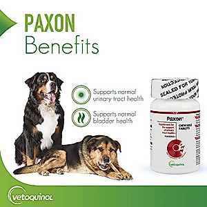 Vetoquinol Paxon Cranberry Urinary Tract Supplement for Dogs to Promote Urinary and Bladder Health