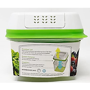 Fresh Produce Saver 591ml Storage Container - Green & White - 3 Piece Set