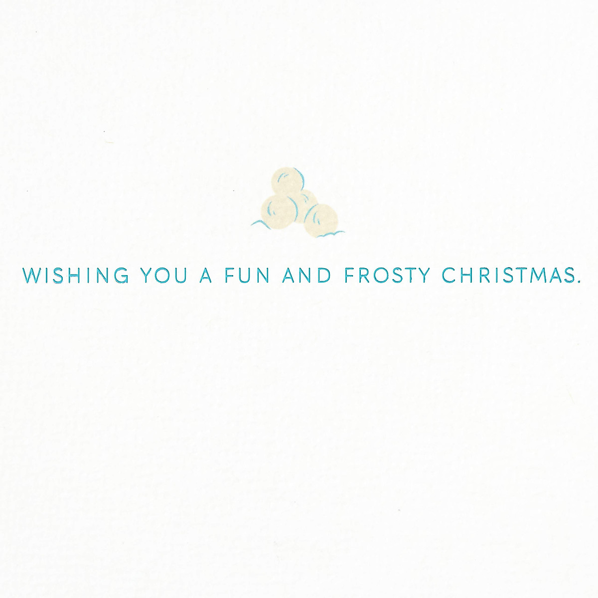 Hallmark Signature Peanuts Christmas Card (Fun and Frosty Christmas)