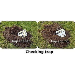 Gopher Trap (Pack of 2) LASSO TRAP Galvanized & Oil Hardened Steel//Super Cost-Effective, Reusable, & Durable Animal Trap Best in The Lawn, Yard, Garden, Farm, & All Outdoor Settings w/Manual