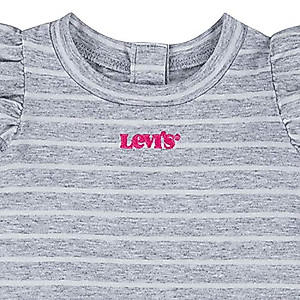 Levi's Baby Girls' Graphic T-Shirt and Skirtall 2-Piece Outfit Set, Grey/Pink, 6