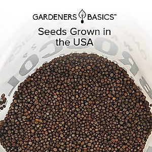 Broccoli Seeds for Sprouting Kit and Microgreens Non-GMO, Heirloom Bulk 1 Pound Resealable Sprouts Bag by Gardeners Basics