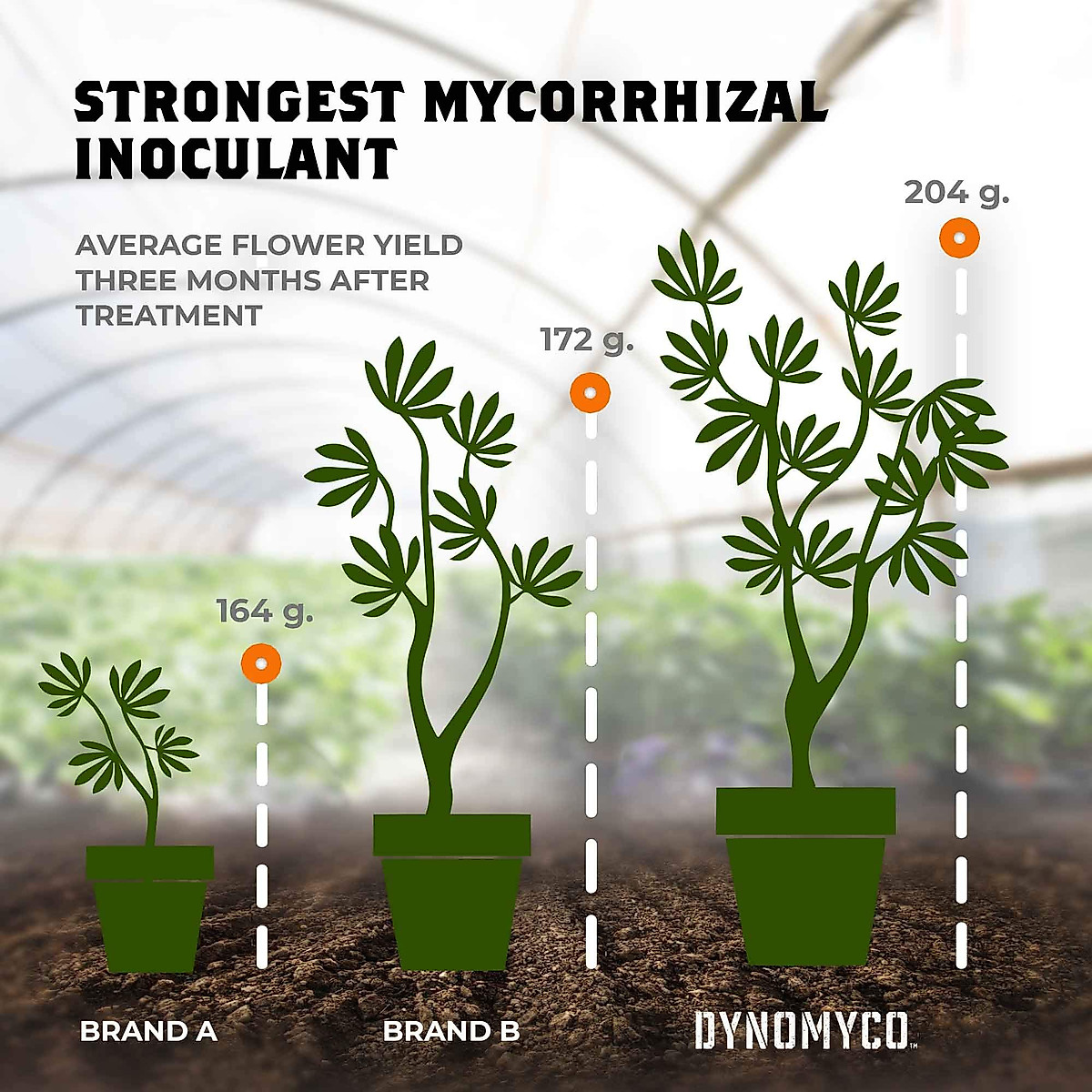 Mycorrhizal Inoculant by DYNOMYCO – High Performing Strains – Concentrated Formula – Improves Nutrient Uptake – Increases Plant Yields Enhances Resilience to Stress Saves Fertilizer (3.5 Oz / Up to 20 Plants)