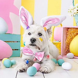 Bunny Ears and Tail w/Bow - Easter Costume - Bunny Headband by Funny Party Hats