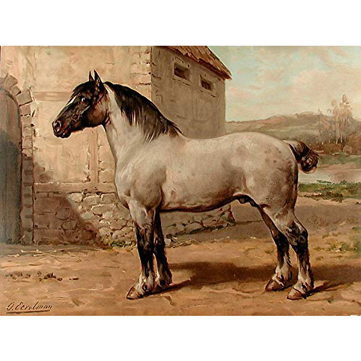 Het Bretagner Paard [Breton Horse]