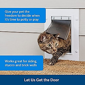 PetSafe NEVER RUST Wall Entry Pet Door - Telescoping Frame - Insulates Better than Metal Doors, Energy Efficient Cat & Dog Door - Interior & Exterior Walls, Weatherproof, Easy to Install & Clean - L