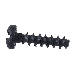 Bosch Parts 2603490022 Torx Oval-Head Screw