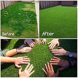 Moxie Direct Realistic Artificial Grass Turf, Indoor Outdoor Lawn Landscape Pet Dog Mat Synthetic Thick Fake Grass Rug Carpet for Garden Backyard Balcony,2FT X 6FT
