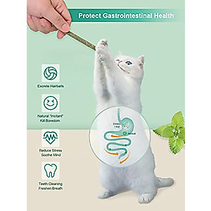 Potaroma 12Pcs Natural Silvervine Sticks Catnip Sticks, Catmint Silvervine Blend, Catnip Toys for Kittens Teeth Cleaning, Matatabi Dental Care Cat Treat Toys, Edible Kitty Toys for Cats Lick