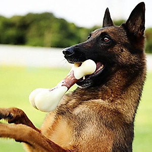 Indestructible Dog Chew Toys for Aggressive Chewers, Tikaton Beef Flavor Durable Dog Teething Chew Toys Bones for Large / Medium / Small Puppies…