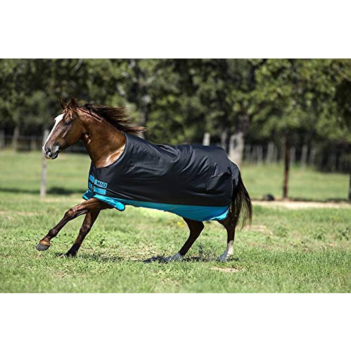 Horseware Mio Medium Turnout Blanket 72 Black