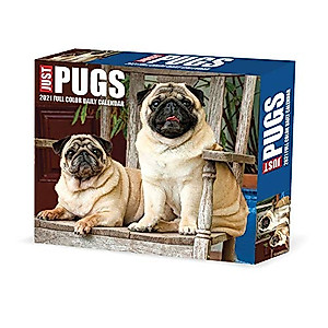 Just Pugs 2021 Box Calendar (Dog Breed Calendar)