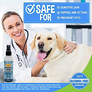 Bodhi Dog Anti Itch Spray | Natural Soothing Relief for Dry, Itchy, Bitten or Allergy Damaged Skin Treatment | Anti Itch Spray for Dogs & Cats | Made in USA (Oatmeal, 4 oz)