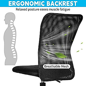 Basic Black Mid-Back Mesh Office Chair - Small, Height-Adjustable, Swivel, No Arms, Rolling