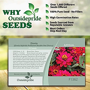 Outsidepride Zinnia Profusion Double Hot Cherry Heat & Drought Tolerant Garden Cut Flowers - 50 Seeds