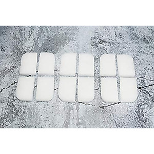 LTWHOME Compatible Polishing Filter Pads Fit for Fluval 304 305 306 404 405 406(Pack of 12)