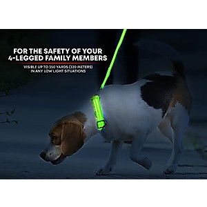 Illumiseen LED Dog Collar USB Rechargeable - Bright & High Visibility Lighted Glow Collar for Pet Night Walking - Weatherproof, in 6 Colors & 6 Sizes (Green Large)