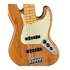 Fender American Professional II 5-String Jazz Bass, Roasted Pine, Maple Fingerboard