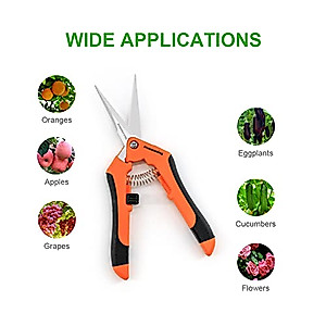 HOMEANING 1PC Pruning Shears,Trimming Scissors, Blades Gardening Hand Pruning Snips Titanium Coated Precision Bonsai Pruning Shears, Convenient and Efficient Flower Cutters (Orange)