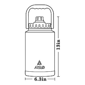 Arslo large Insulated Water Jug With Handle, One Gallon Insulated Water Bottle, 1 Gallon Stainless Steel Water Jug, Silver, 128 oz, 1 Count (Pack of 1)