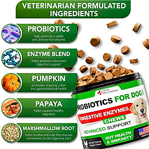 (2 Pack) Probiotics for Dogs - Dog Probiotics and Digestive Enzymes for Gut Health, Itchy Skin, Allergies, Immunity, Yeast Balance - Prebiotics - Reduce Diarrhea, Gas - 240 Probiotic Chews for Dogs