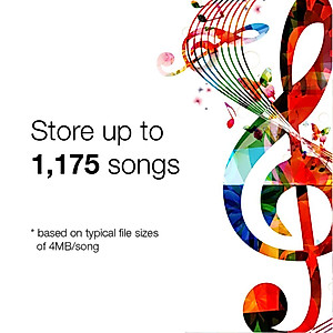 Verbatim DVD+R Blank Discs 4.7GB 16X Recordable Disc - 10 Count (Pack of 1)