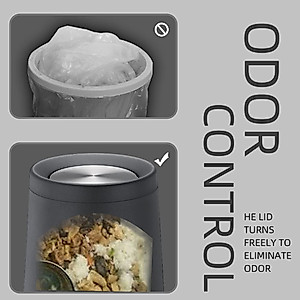 BRIEFHUMAN Household Swing Black Bathroom Trash Can，Brushed Stainless Steel，10 L/3 Gallen，Garbage Can with Flipping Lid， for Indoor or Commercial Use, Kitchen,Modern，Living Room,Bedroom