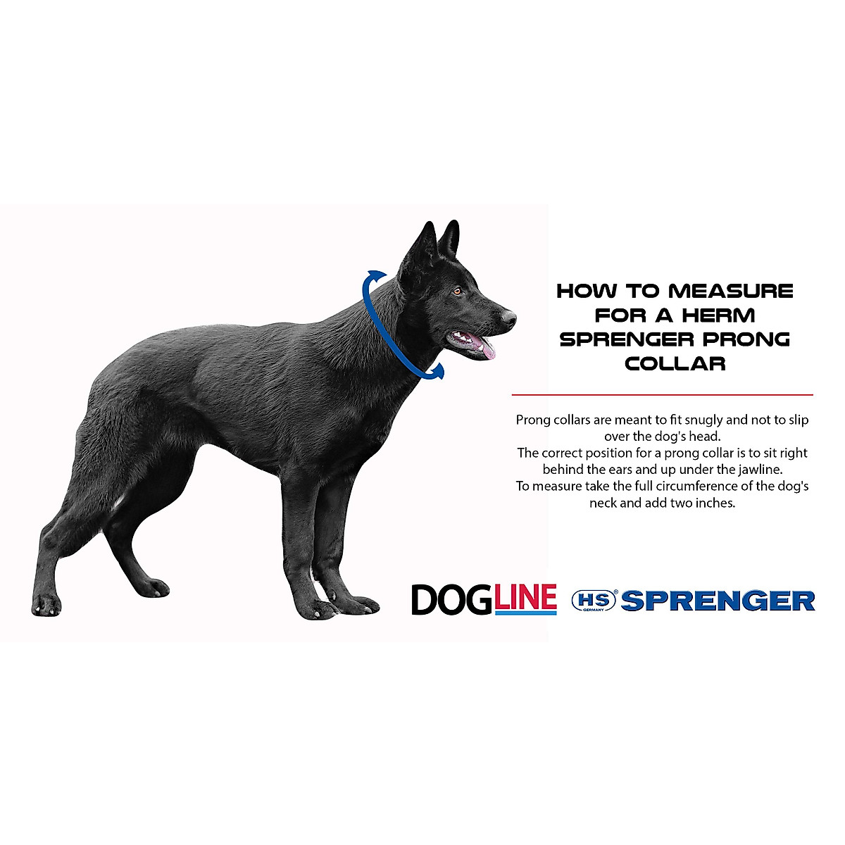 Herm Sprenger Prong Dog Training Collar Ultra-Plus Chrome Plated Steel Pet Pinch Anti Pull Collar for Dogs Made in Germany 22in x 3.0mm (Neck Size up to 18in) Medium