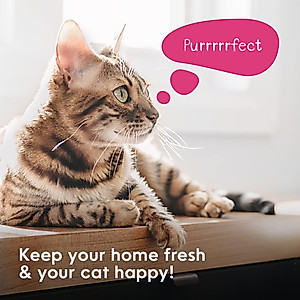 Litter Genie Refill Bags | Jumbo 2- Count (Pack of 1) | Up to 8 Months of Supply in 2 cartridges | Ultimate Odor Control Cat Litter Bags