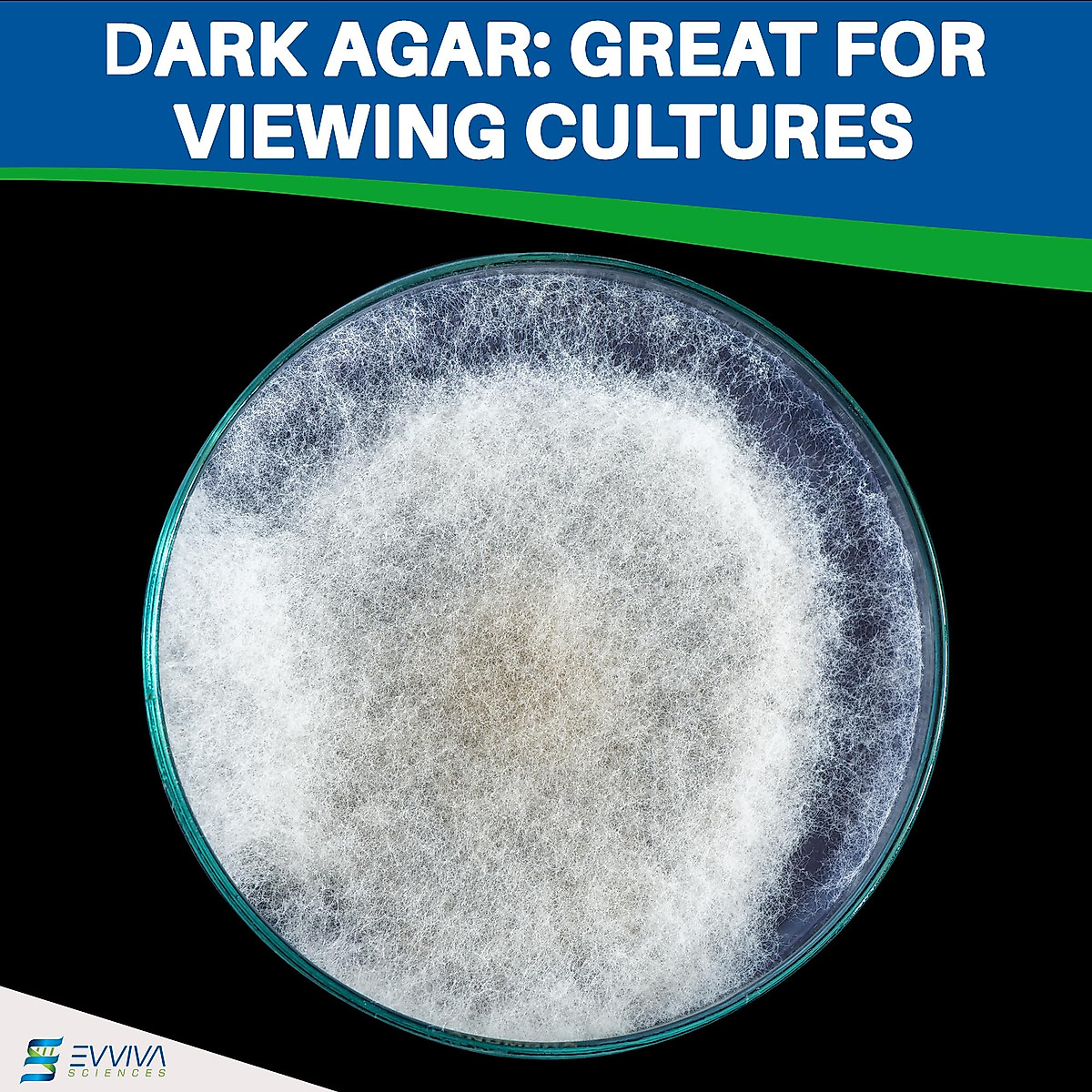 ES EVVIVA SCIENCES Prepoured Black Potato Dextrose Agar Plates – Includes Both Black Dye & Charcoal - Enhanced Culture Visualization - Excellent Growth Medium - Great for Mushrooms & Science Projects