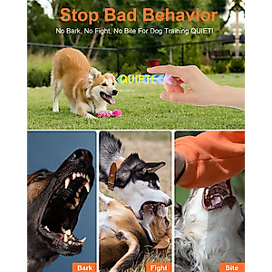 2024 Dog Training Bark Deterrent Device, Anti-Barking Device with HD Display and LED Flashlight for Dogs, Stop Bad Behavior Without Yelling or Swatting, Ultrasonic Stopper Alternative to Shock Collars