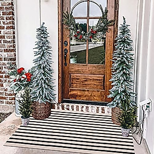 LEEVAN Black and White Striped Outdoor Rug Runner 24"x51" Layering Doormat Farmhouse Front Porch Rug Cotton Woven Washable Throw Carpet for Hallway/Front Steps/Bathroom/Kitchen/Home Entrance