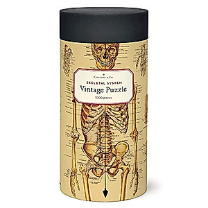 Cavallini Papers & Co. Skeletal System 1,000 Piece Puzzle, Multi