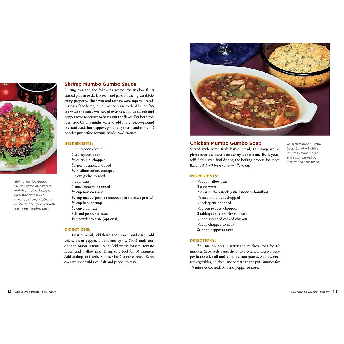 Edible Wild Plants: Wild Foods From Dirt To Plate (The Wild Food Adventure Series, Book 1)