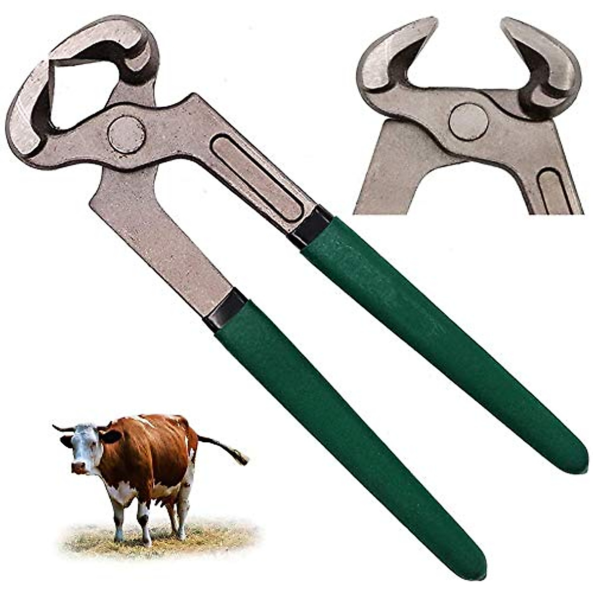 CARLAMPCR Hoof Trimmers Goat Hoof Trimming Shears Nail Clippers, Horse Farrier Tool, Multi-Purpose Hoof Trimmers for Goats Sheep Pigs Cattle Horses, with Rubber Grip, Durable and Convenient