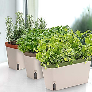 Amazing Creation Window Herb Planter Box Rectangular Self Watering Indoor Garden for Kitchens Grow Plants, Flowers or Succulents, Large Water Reservoir | Window Sill Planters Indoor | Herb Pots 3 Pack