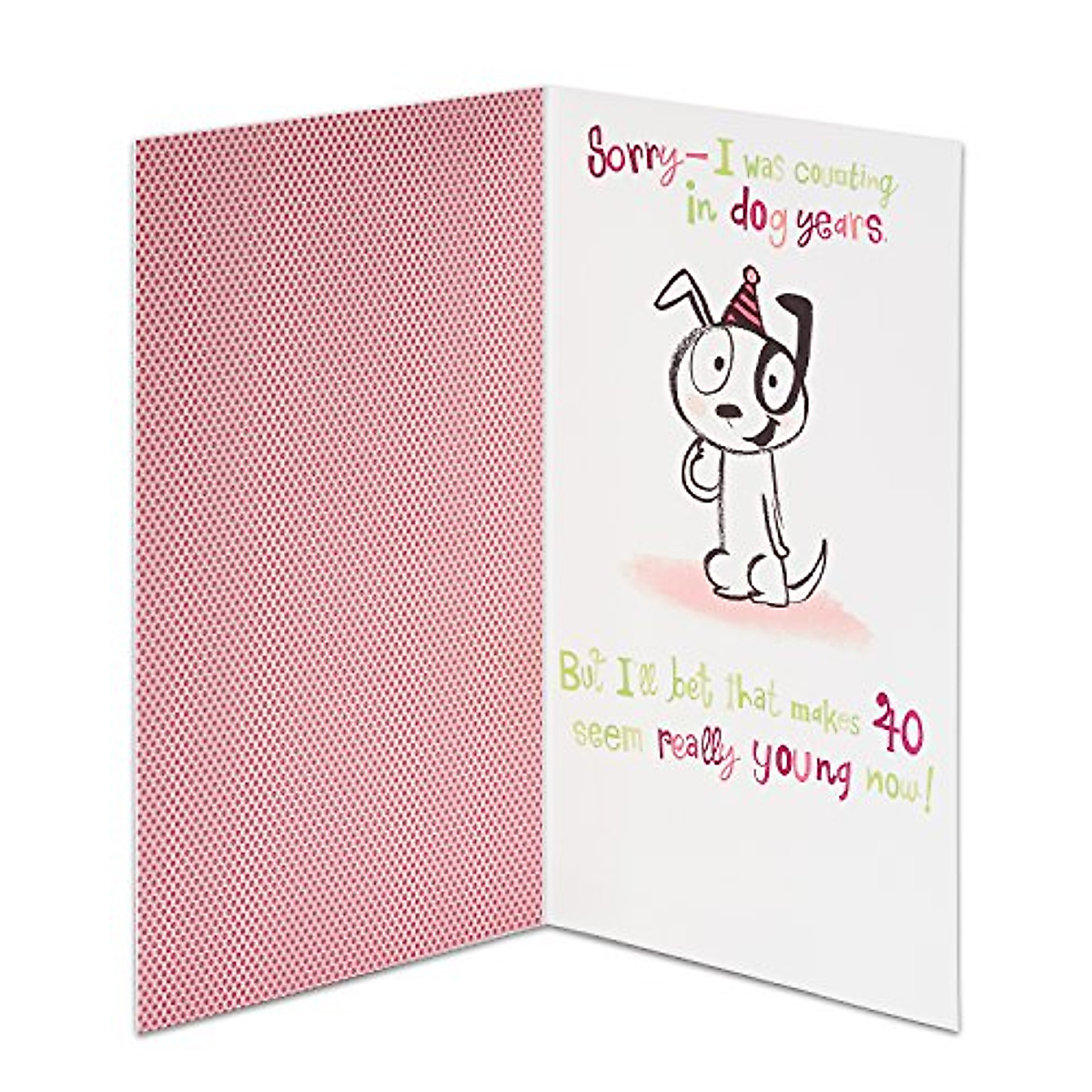 American Greetings Funny 40th Birthday Card (Dog Years)