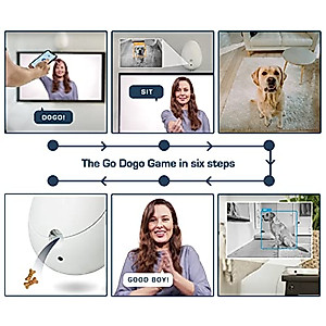 Go Dogo Game and Fireworks Training for Dogs | Interactive Food Puzzle & Enrichment Activity | Sound Desensitization | App Available for iPhone/iPad | Become a Tester for Fireworks Training