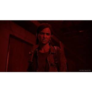 The Last of Us Part II (PS4)