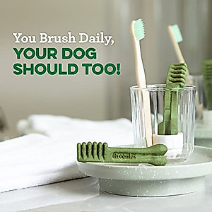 Greenies Puppy 6+ Months Regular Natural Dog Dental Care Dog Treats, 12 oz. Pack (12 Treats)