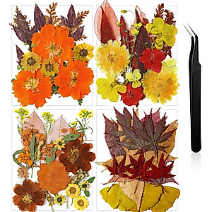 Pressed Flowers Bulk Dried Flower for Resin Mold, Dried Flower Leave Natural with Tweezer for Crafts Christmas DIY Gift Scrapbooking(Graceful Style)