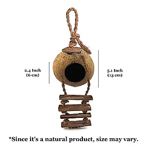 SunGrow Leopard Gecko Coconut Husk Hut with Ladder, with Shell Opening, Cave Habitat with Hanging Loop, 1 Pc per Pack