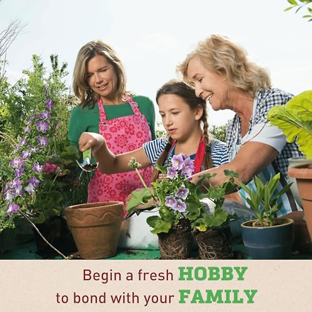 Garden Trends - Pea Seeds - Super Sugar Snap - Non-GMO Vegetable for Outdoor Planting Home Garden - Long Vines - Dark Green Pods - Flat, Sweet Berries - 0.5 Lbs